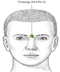 Seasons Greeting 2020! Merry Christmas and Happy New Year! – TCM AND ...